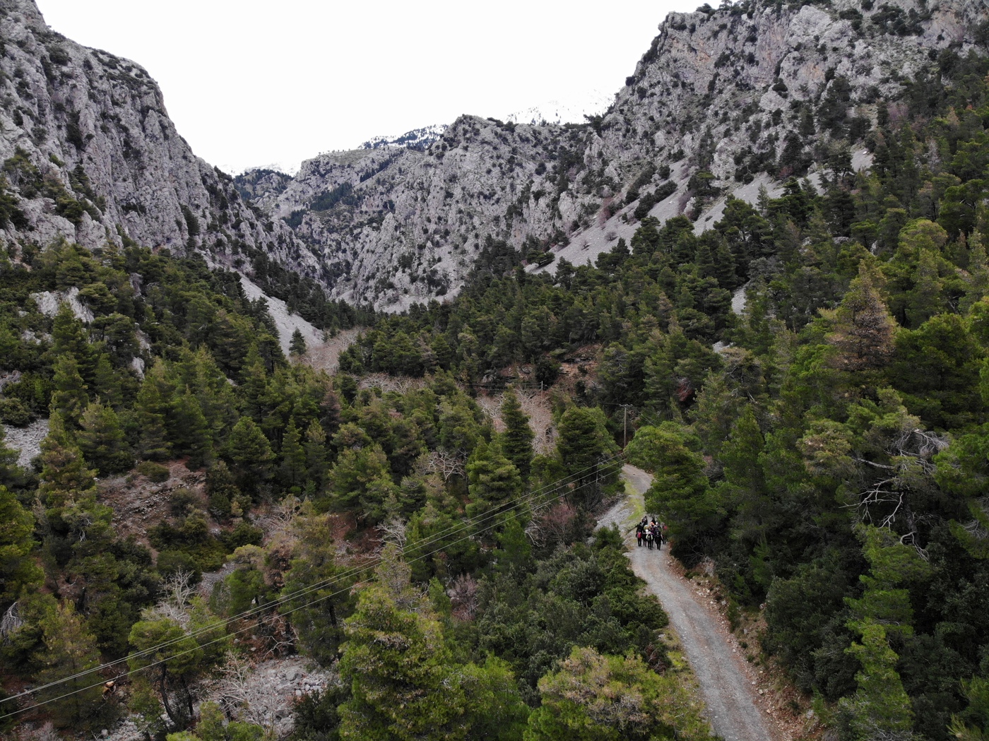 Hiking / Crossing Agali Gorge | Trekking Hellas