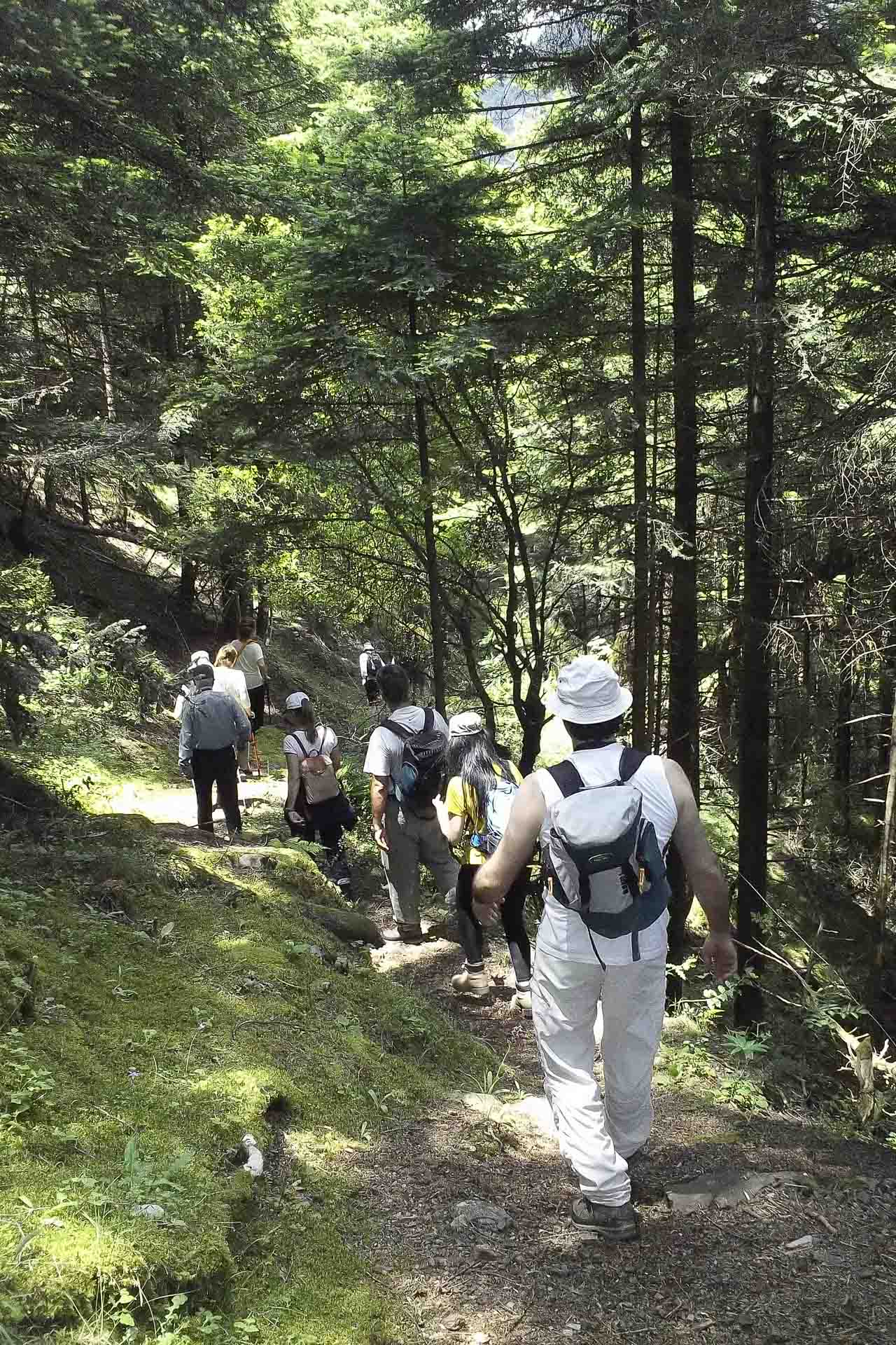 Πεζοπορία στα ωραιότερα μέρη της Ελλάδας | Trekking Hellas