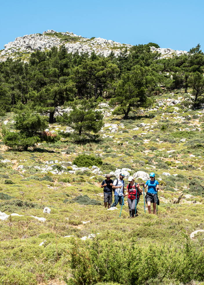 Rhodes | Trekking Hellas