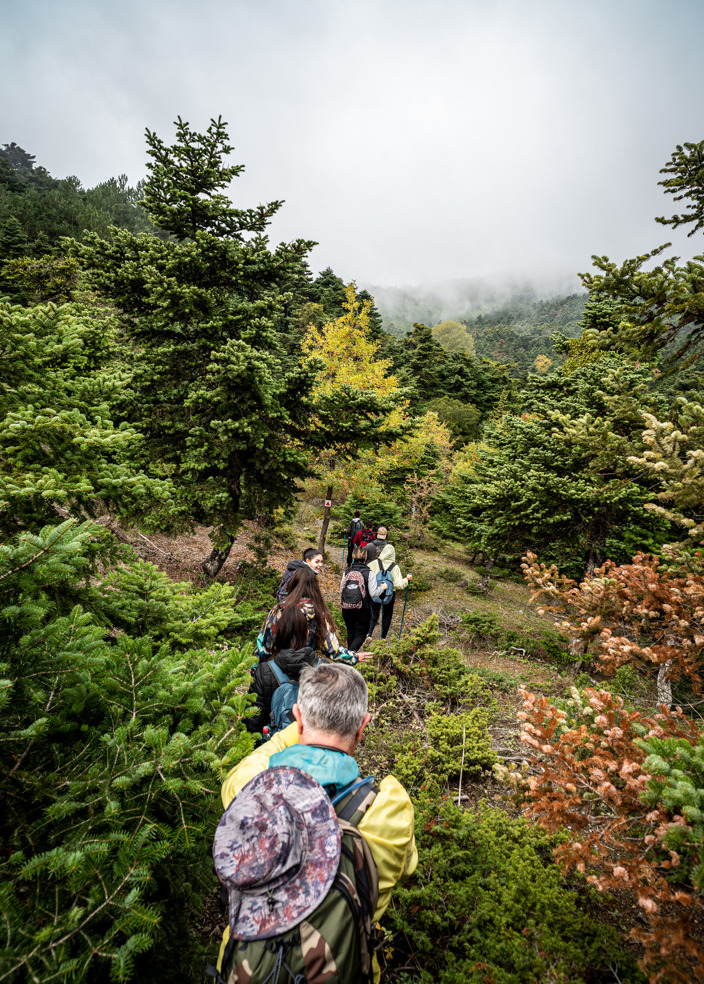 Mount Parnitha | Trekking Hellas