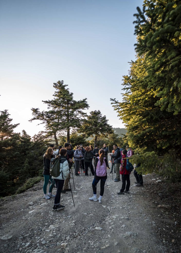 Πεζοπορία στα ωραιότερα μέρη της Ελλάδας | Trekking Hellas