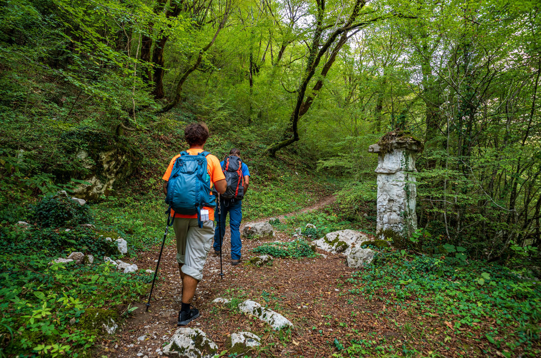 Πεζοπορία στα ωραιότερα μέρη της Ελλάδας | Trekking Hellas