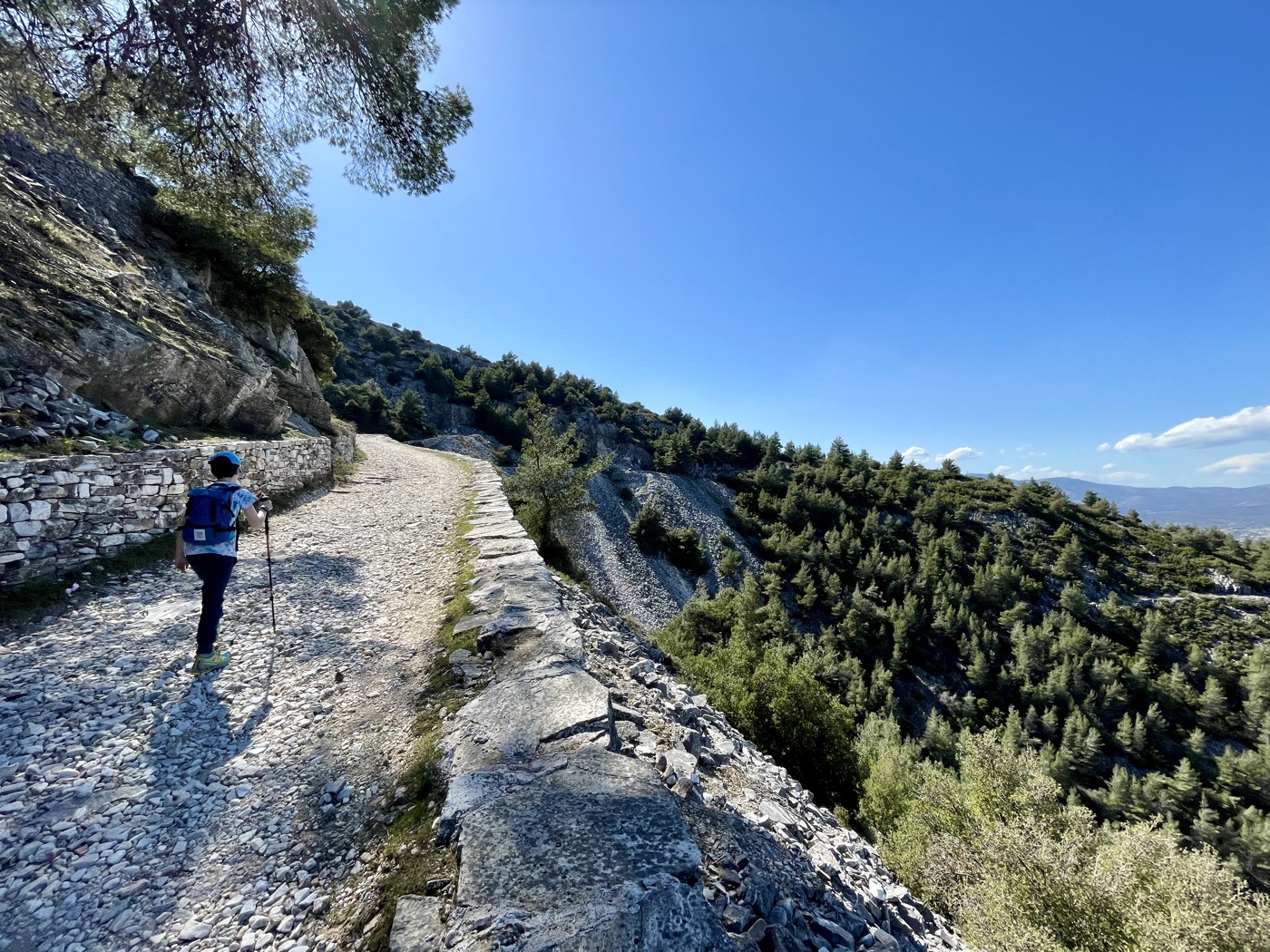 School day-trip in Mt. Penteli: Environmental hike | Trekking Hellas