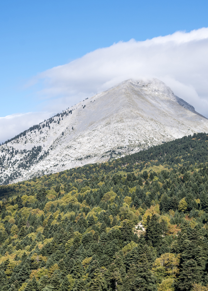 Αρχική | Trekking Hellas