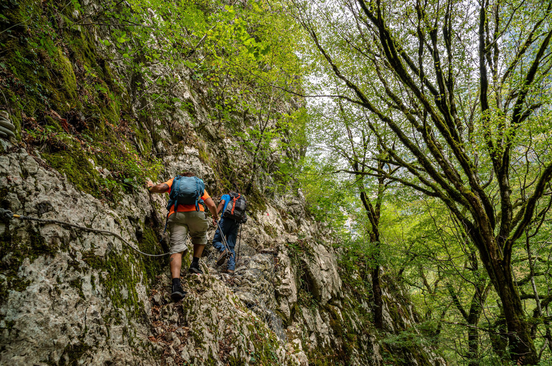 Πεζοπορία στα ωραιότερα μέρη της Ελλάδας | Trekking Hellas