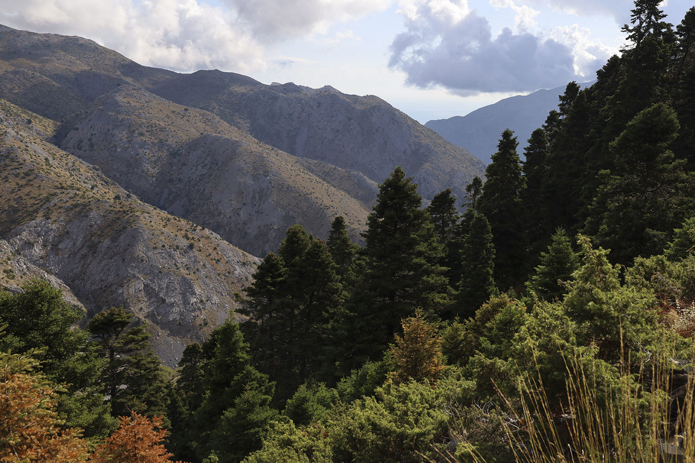 Hiking Traverse on Mount Pyxarias, Central Evia | Trekking Hellas
