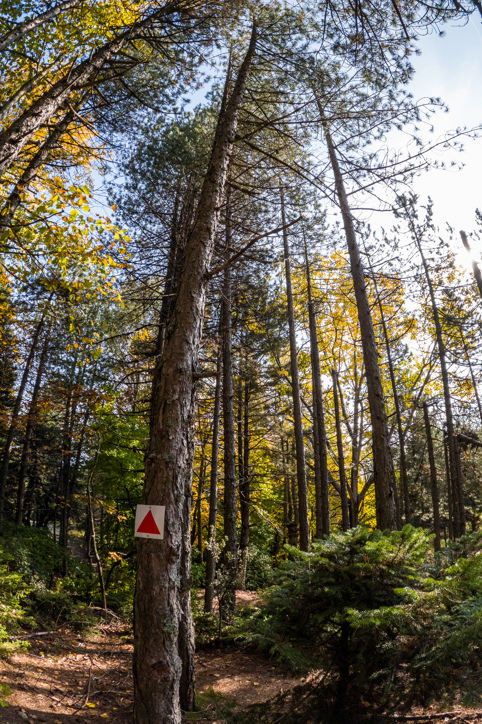 Mount Parnitha | Trekking Hellas