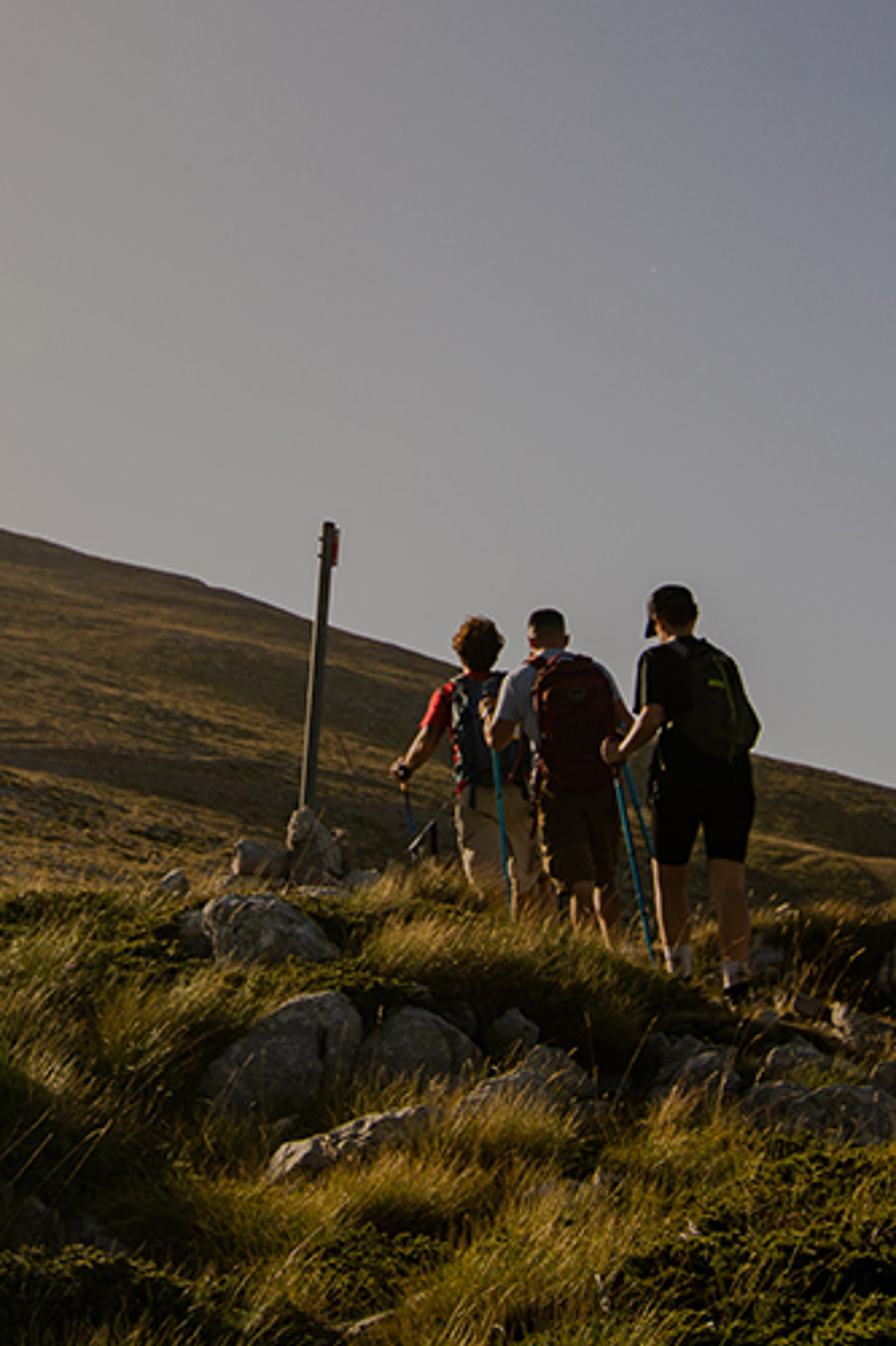 Scaling to new heights: How to choose the perfect hiking shoes ...