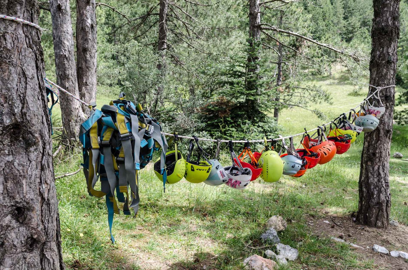 8 kids activities in the beautiful forests of Attiki | Trekking Hellas