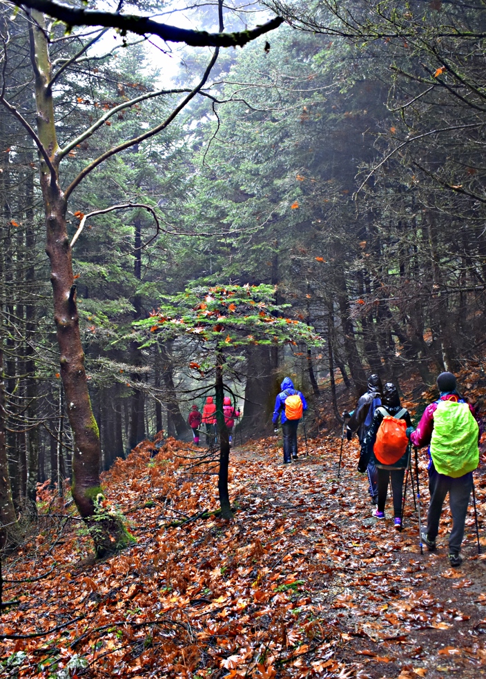 Πεζοπορία στα ωραιότερα μέρη της Ελλάδας | Trekking Hellas