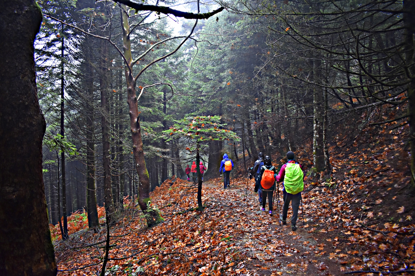 Family Hike in Central Evia | Trekking Hellas