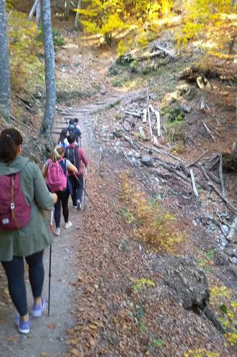 Enipeas Gorge | Trekking Hellas