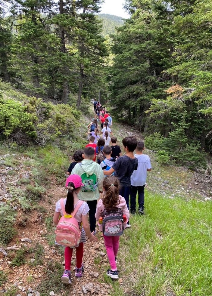 Πεζοπορία στα ωραιότερα μέρη της Ελλάδας | Trekking Hellas