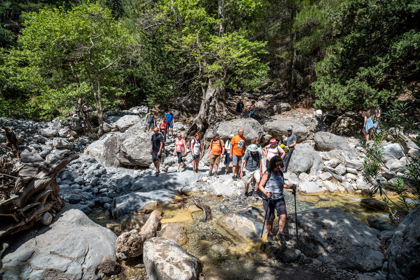 Embrace Diversity Through Outdoor Activities | Trekking Hellas