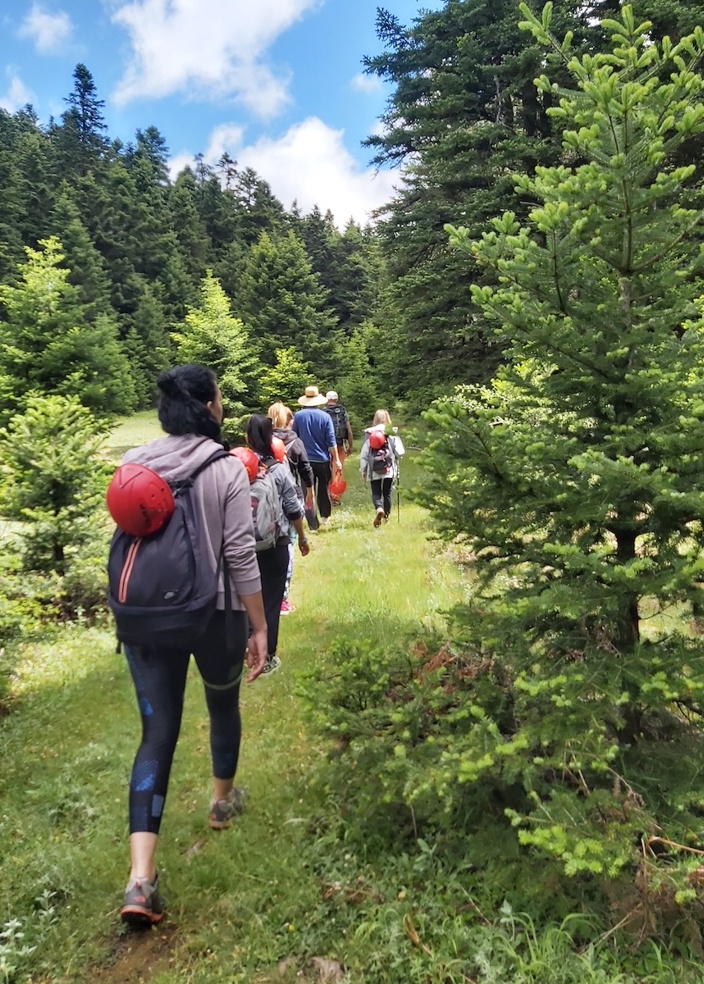 Αρχική | Trekking Hellas