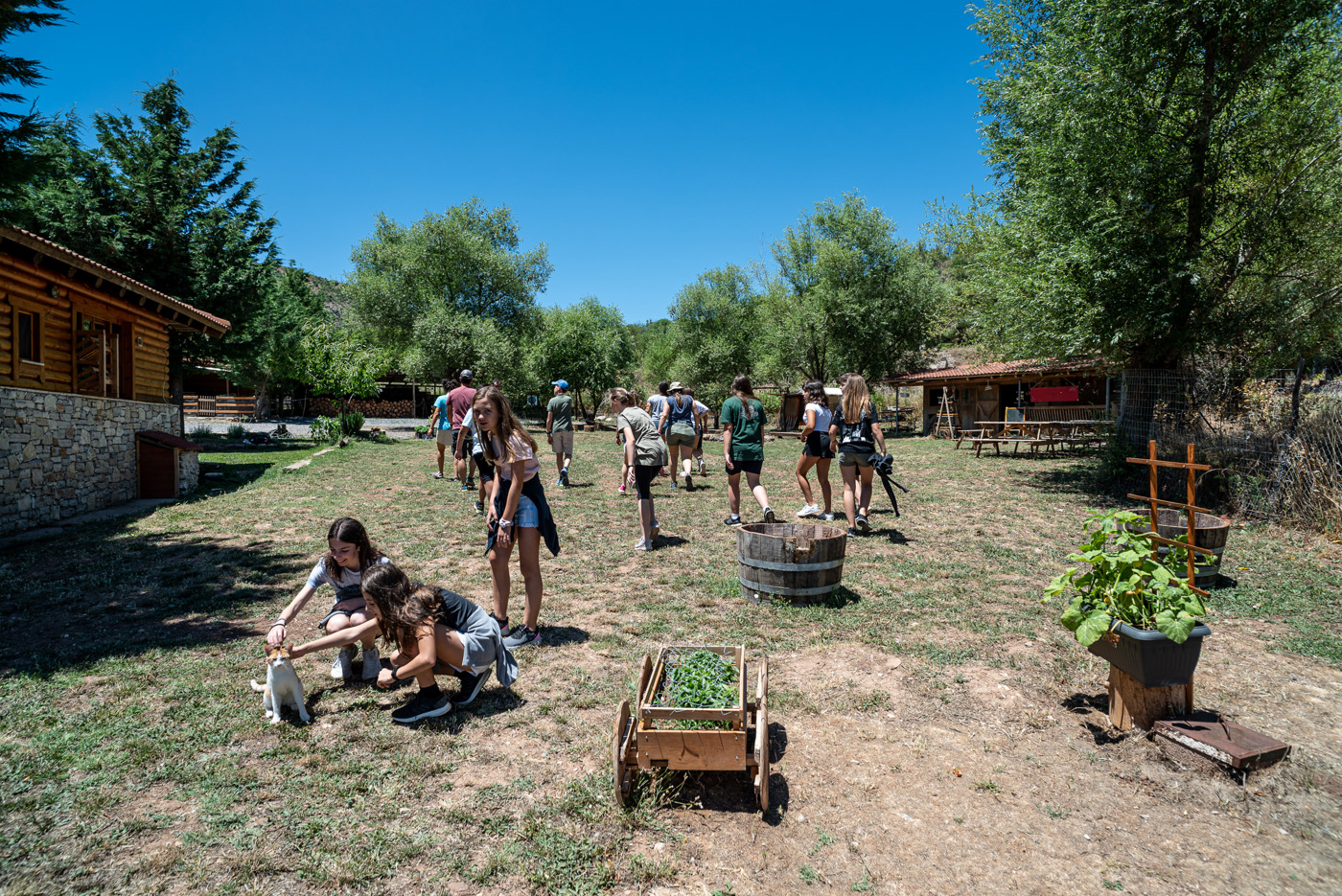 Παιδικές Κατασκηνώσεις 2024 | Trekking Hellas