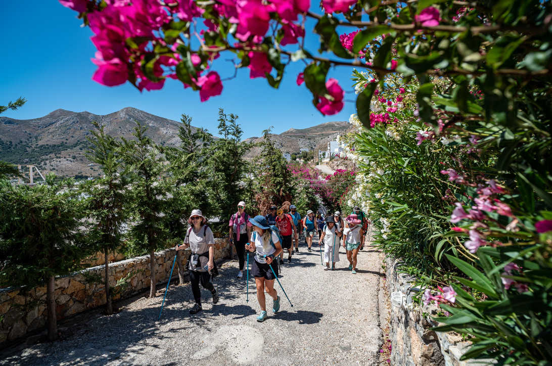 Πεζοπορία στα ωραιότερα μέρη της Ελλάδας | Trekking Hellas