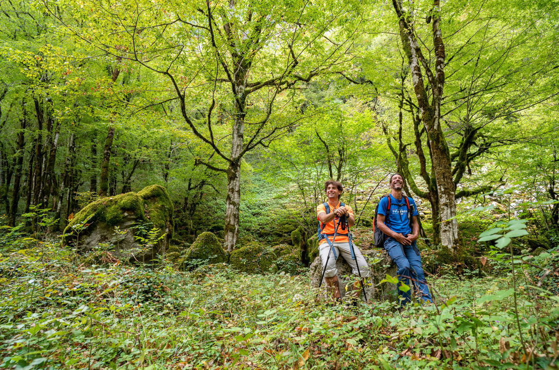 Διάσχιση της Χαράδρας του Βίκου | Trekking Hellas
