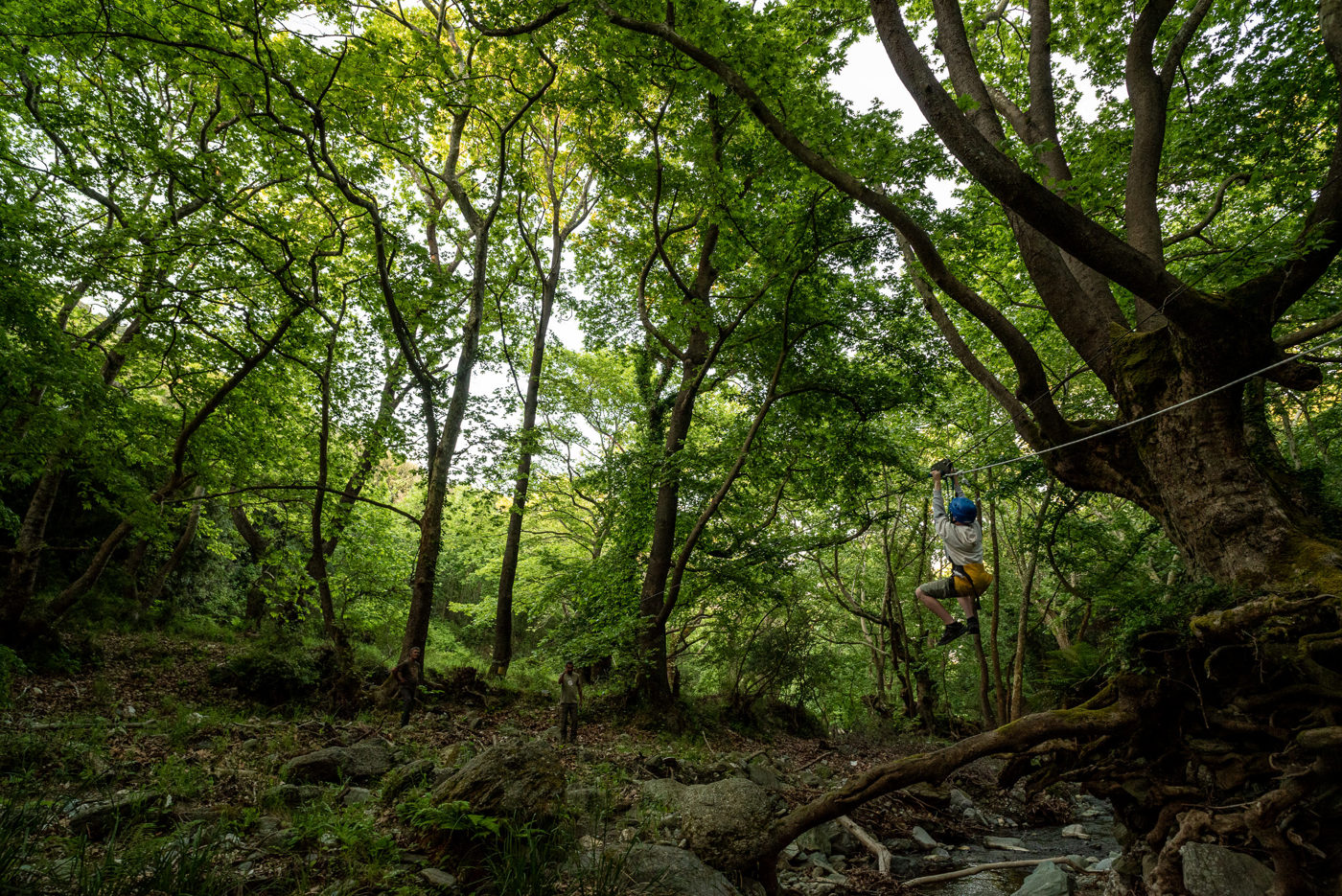 Flying Fox | Trekking Hellas